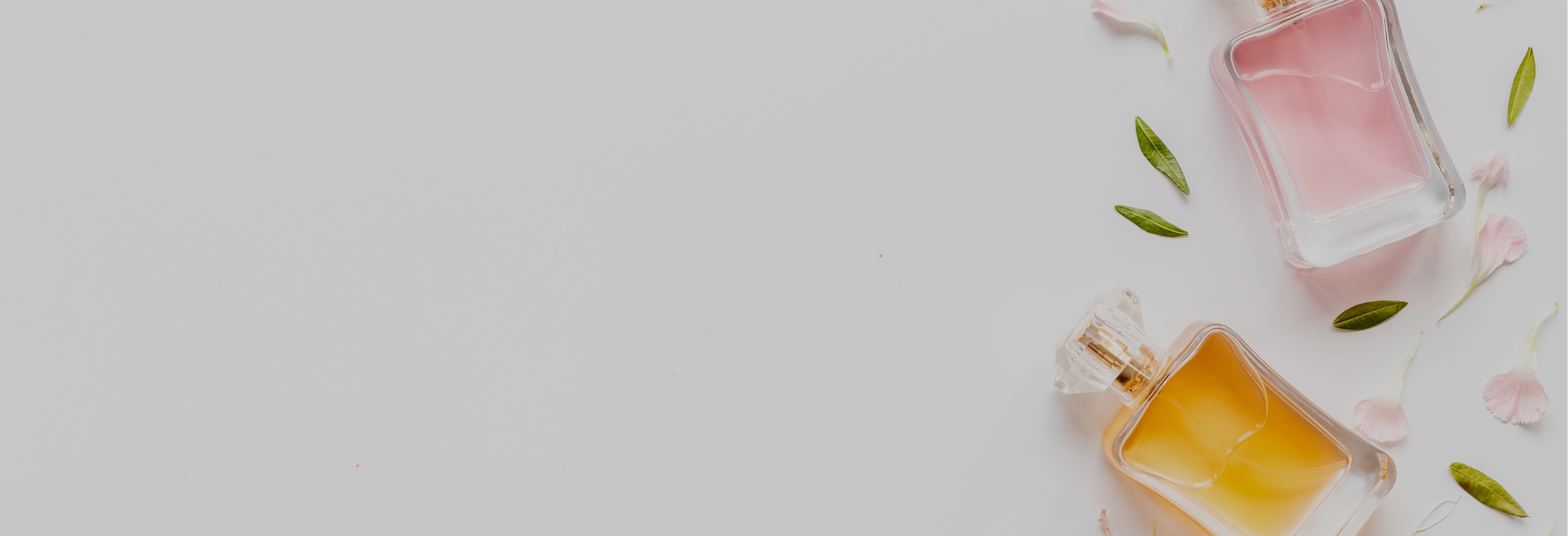 Fragrance – Home Cosmetics